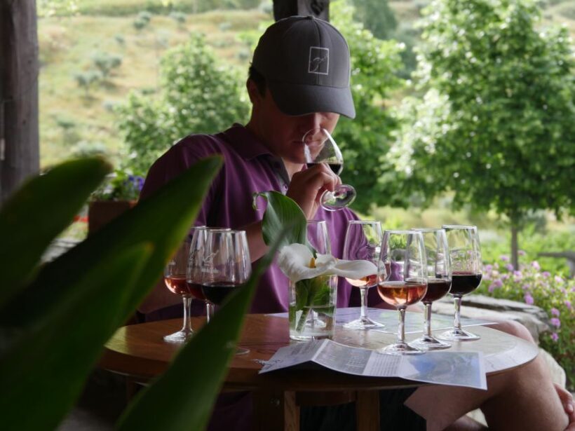 Douro Valley: Quinta do Tedo Winery Tour and Tasting - Experience and What to Expect
