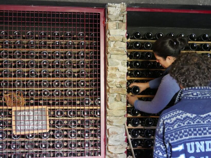 Douro Valley: Quinta do Tedo Winery Tour and Tasting - The Experience’s Strengths and Limitations