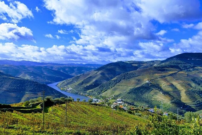 Douro Valley Small-Group Tour: A Review - Guides and Customer Praise