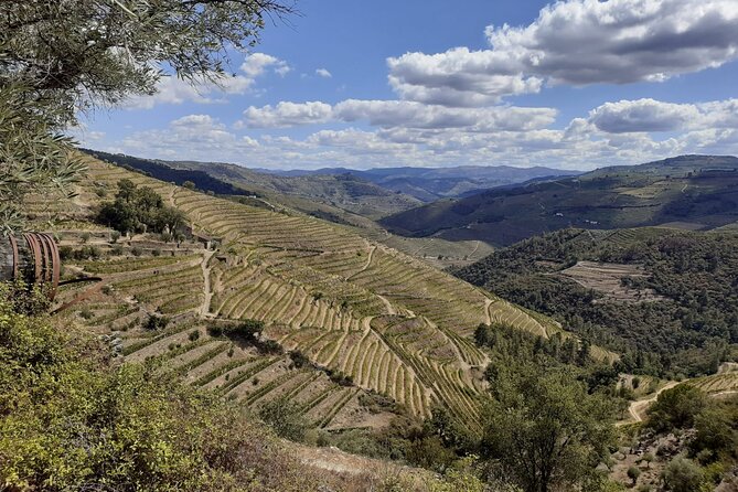 Douro Valley Small-Group Tour: A Review - Exceptional Dining Experience