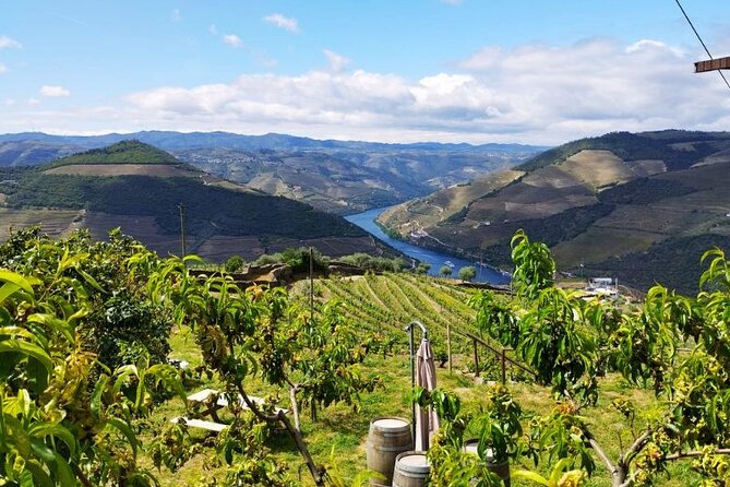 Douro Valley Small-Group Tour: A Review - Weather Considerations and Adjustments