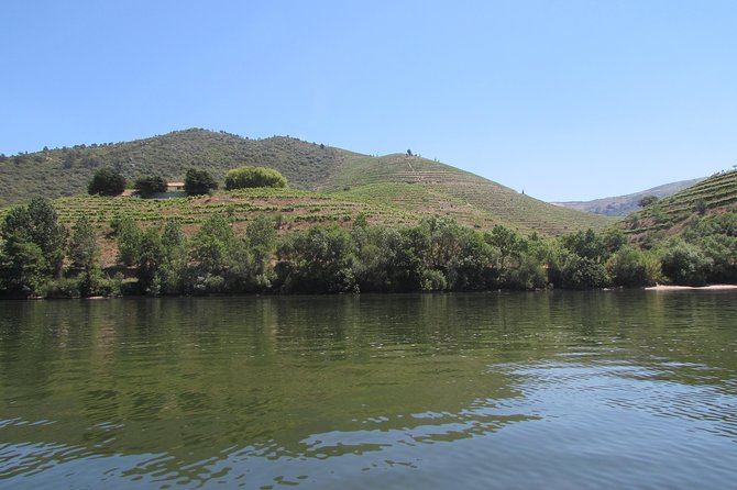 Douro Valley Tour: 2 Vineyard Visits, River Cruise, Winery Lunch - Why This Tour Offers Exceptional Value