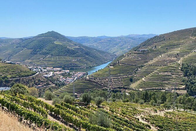 Douro Valley Tour - 3 Wine tastings, Lunch & river Cruise - The Bottom Line
