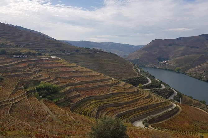 Douro Valley Tour From Peso Da Regua - Recommendations and Tips