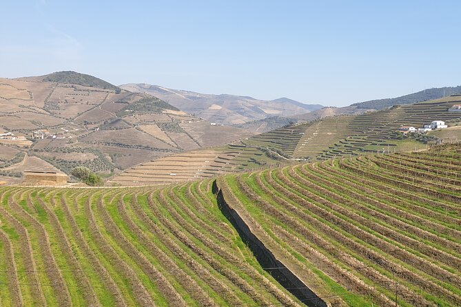 Douro Valley Tour Wine and Breathtaking Views - Enjoying the Connectivity With Onboard Wi-Fi