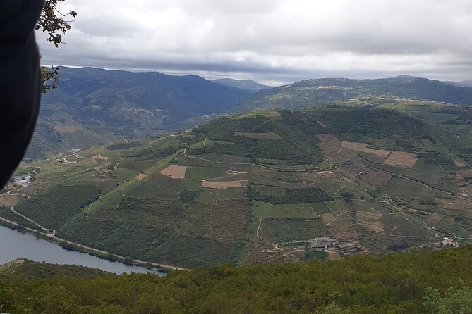 Douro Valley Tour Wine and Breathtaking Views - Navigating the Pickup and Accessibility Options