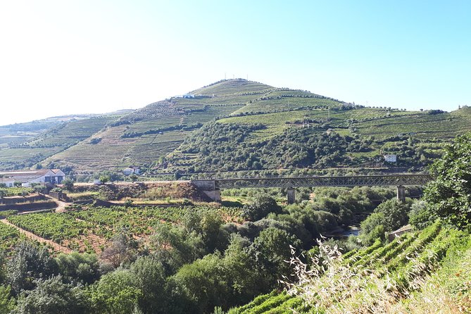 Douro Valley Tour (wine & Food) - Price and Value