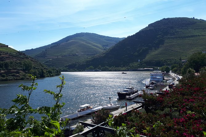 Douro Valley Tour (wine & Food) - Authentic Experiences and Highlights