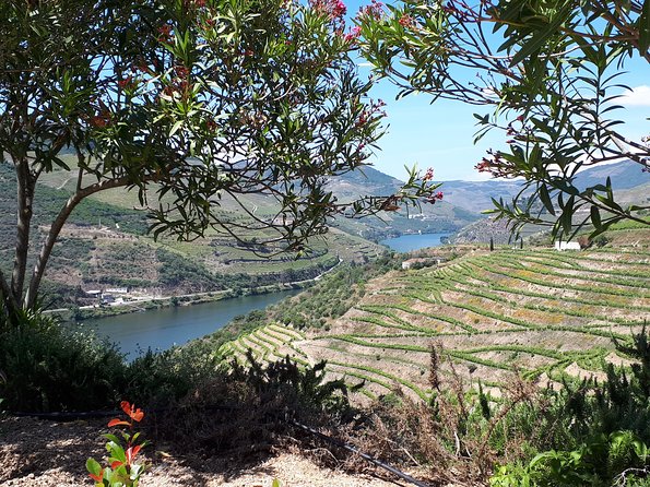 Douro Valley Tour (wine & Food) - Who Will Love This Tour?