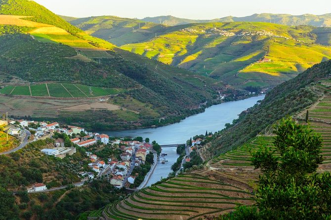 Douro Valley Tour: Wine Tasting, Cruise and Lunch from Porto - Final Thoughts