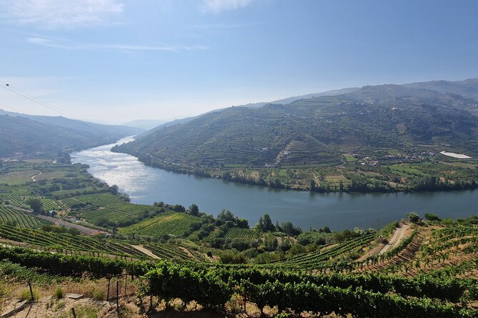 Douro Valley Tour: Wine Tasting River Cruise and Lunch From Porto - Inclusions and Exclusions
