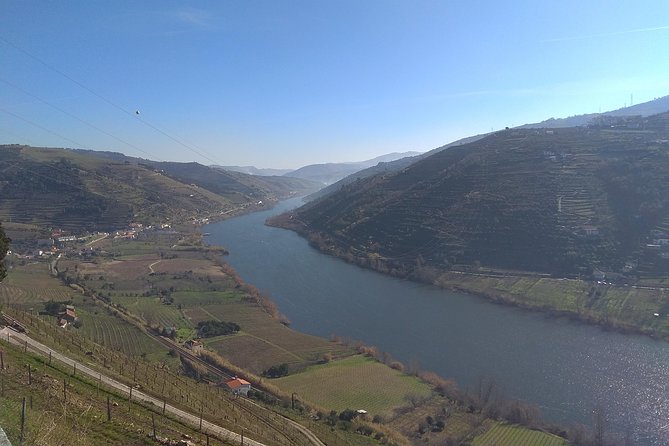 Douro Valley Tour: Wine Tasting River Cruise and Lunch From Porto - Language and Communication