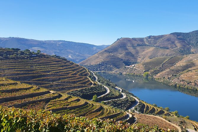 Douro Valley Tour: Wine Tasting River Cruise and Lunch From Porto - Customer Reviews and Experiences