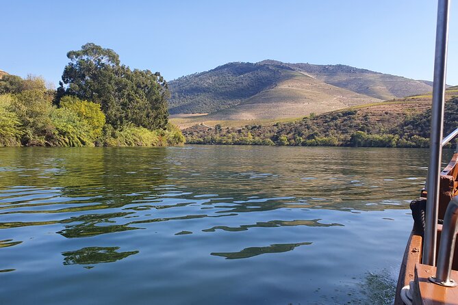 Douro Valley Tour with Train and Vinho Verde - The Sum Up: Is It Worth It?