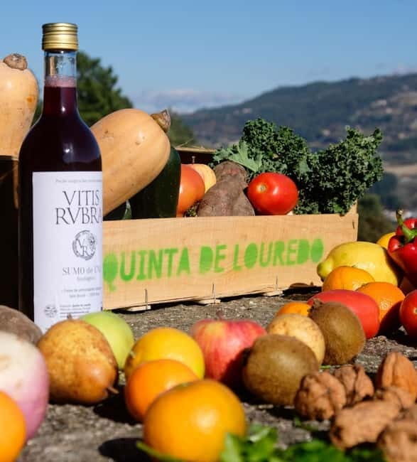 Douro Valley: Traditional Cooking Class, Farm Tour & Lunch - Final Thoughts