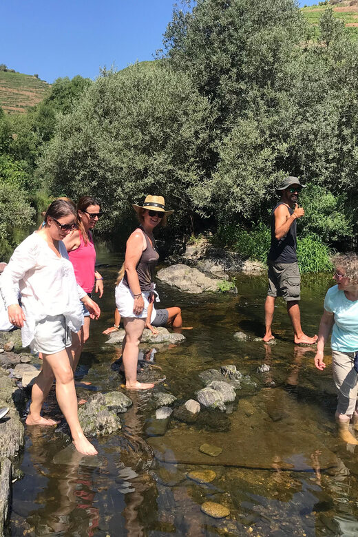 Douro Valley: water walking adventure with local lunch - An Authentic Water Adventure in Portugal’s Douro Region