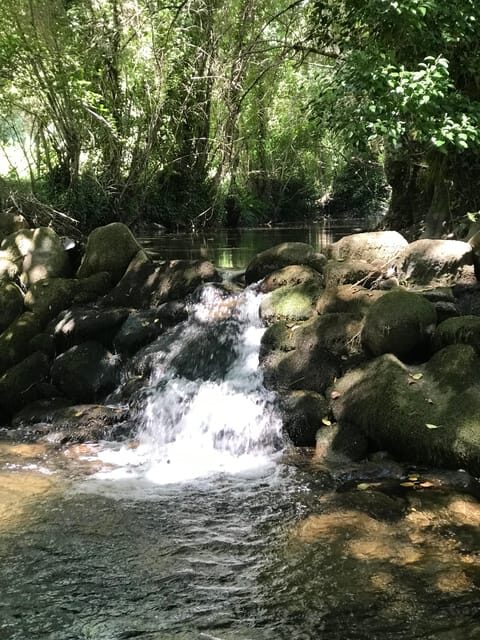 Douro Valley: water walking adventure with local lunch - Practical Details and Logistics