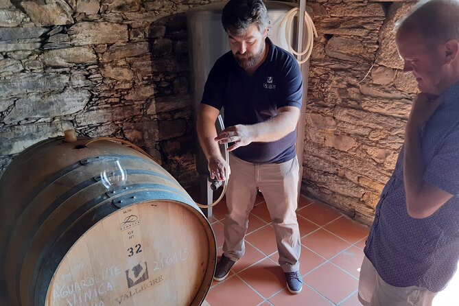 Douro Valley Wine Experience with a Sommelier - FAQ