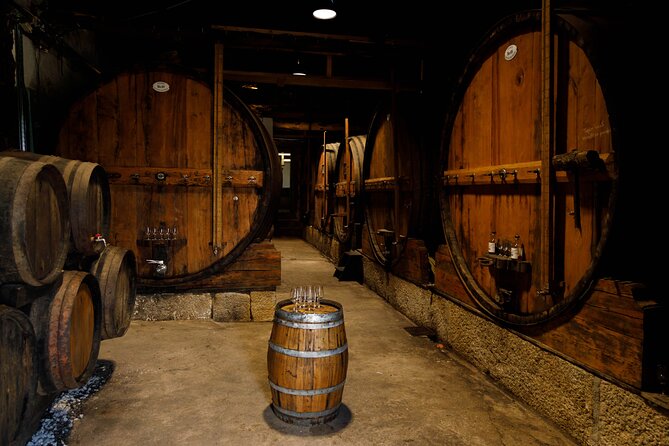DOURO VALLEY: Wine Premium Tour, Winerys Lunch & Boat From Porto - Customer Experiences