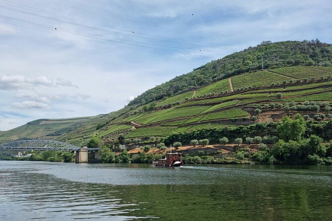 DOURO VALLEY: Wine Premium Tour, Winerys Lunch & Boat From Porto - Savoring the Harmonized Lunch and Tastings