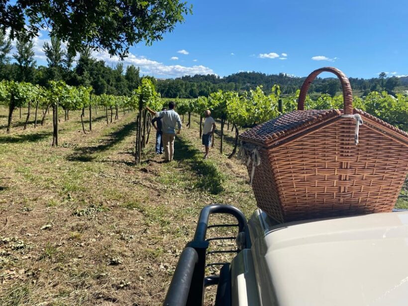 Douro Valley wine safari with wine tastings and lunch - Scenic Boat Cruise