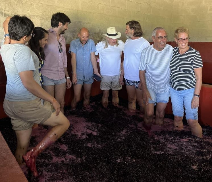 Douro Valley wine safari with wine tastings and lunch - Visiting a Second Winery & Tasting