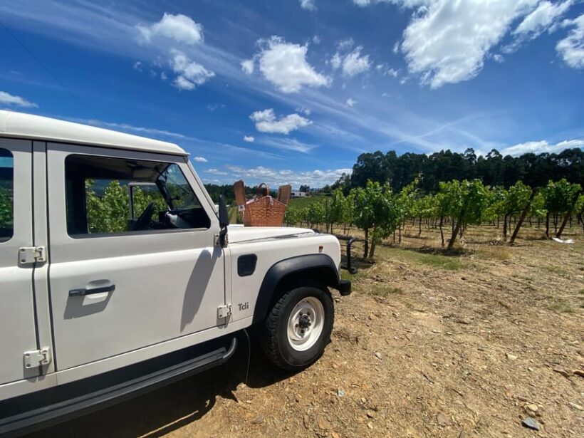 Douro Valley wine safari with wine tastings and lunch - Returning to Porto