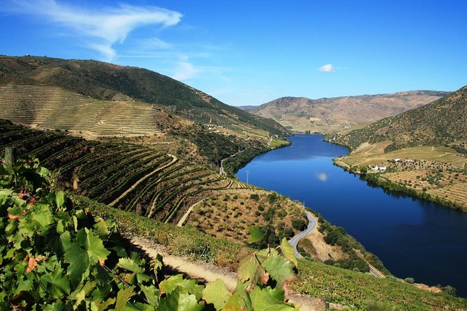 Douro Valley Wine Tour: 3 Vineyard Visits, Wine Tastings, Lunch - The Scenic Drive and First Stop: Lamego