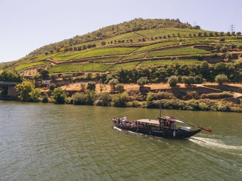 Douro Valley Winery Day Trip with River Cruise - Key Points