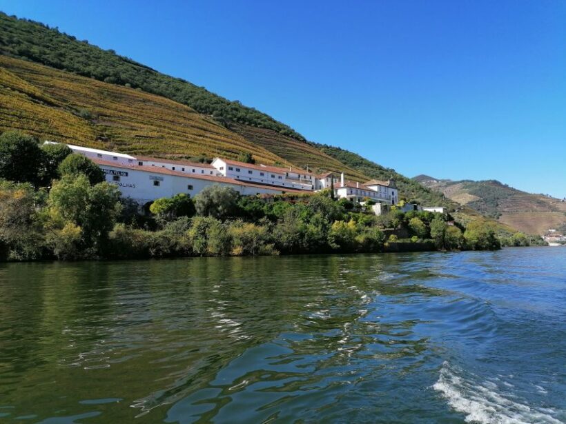 Douro Valley Winery Day Trip with River Cruise - An In-Depth Look at the Douro Valley Day Trip