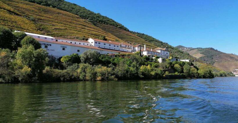Douro Valley Winery Day Trip with River Cruise - Who Should Consider This Tour?