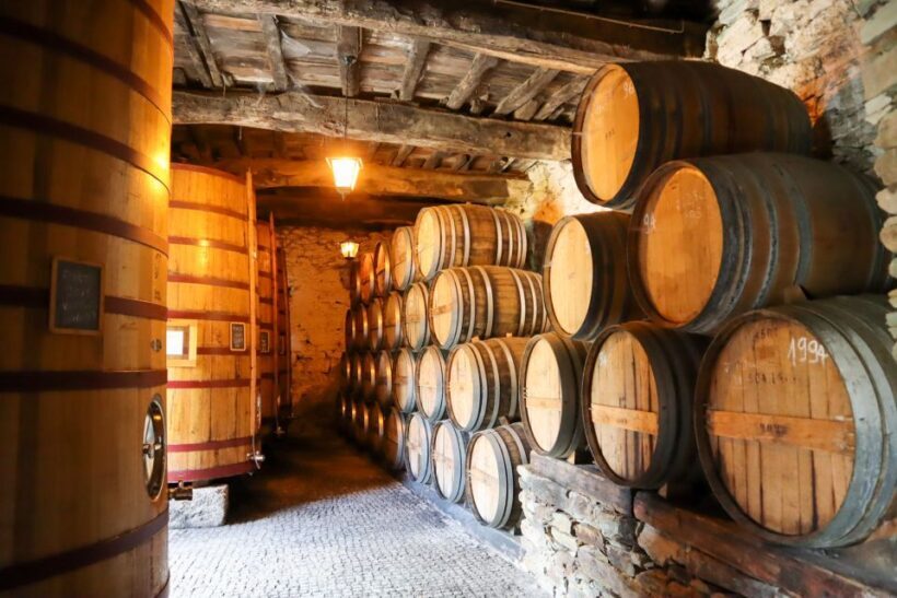 Douro Valley Winery Day Trip with River Cruise - Final thoughts