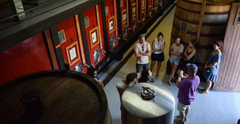 Douro Valley: Winery Tour at Quinta do Tedo and Tastings - Key Points