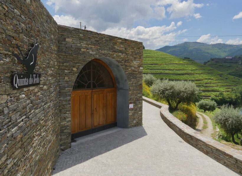 Douro Valley: Winery Tour at Quinta do Tedo and Tastings - A Closer Look at the Tour Experience