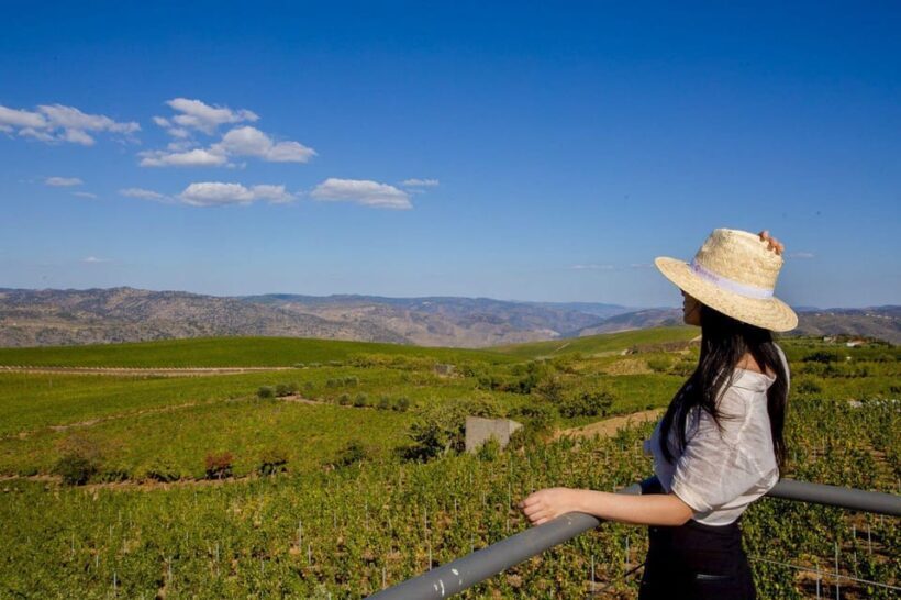 Douro Valley: Winery Visit & Premium Aged Port Wine Tasting - Key Points