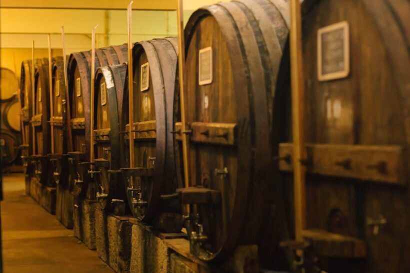 Douro Valley: Winery Visit & Premium Aged Port Wine Tasting - An In-Depth Look at the Douro Valley Winery Tour & Port Tasting