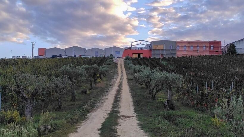 Douro Valley: Winery Visit & Premium Aged Port Wine Tasting - FAQ