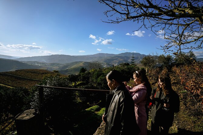 Douro Valley With Tastings, Lunch in a Winery and Boat Tour - Savoring the Delectable Lunch Menu