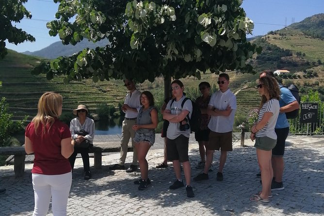 Douro Valley With Tastings, Lunch in a Winery and Boat Tour - Exploring the Small Group Tour Advantage