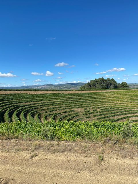 Douro - walking with full fancy lunch and premium wines - The Sum Up