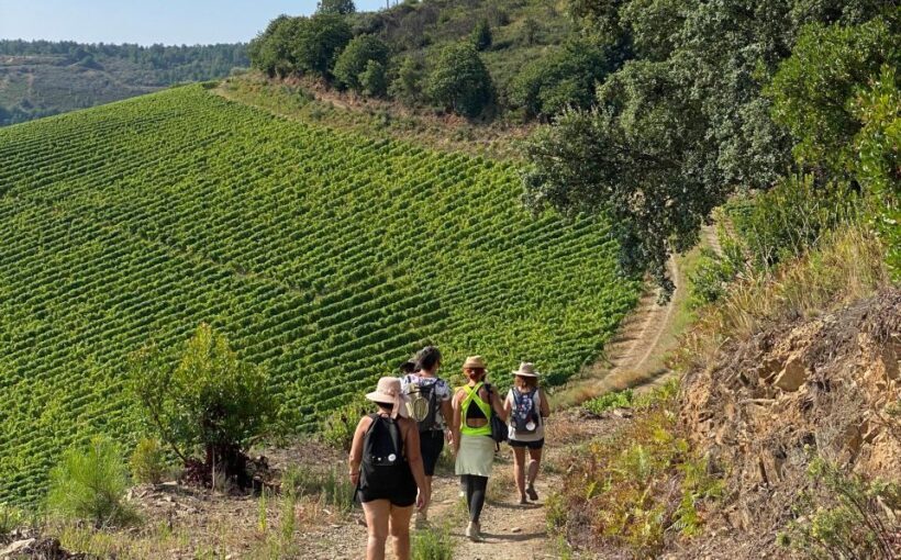 Douro - walking with full fancy lunch and premium wines - FAQ