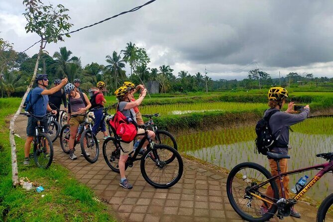 Down Hill Cycling in Bali Country Side with Local - The Itinerary in Detail