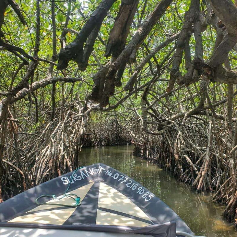 Down South Tour - Why Choose This Tour: The Value and Experience