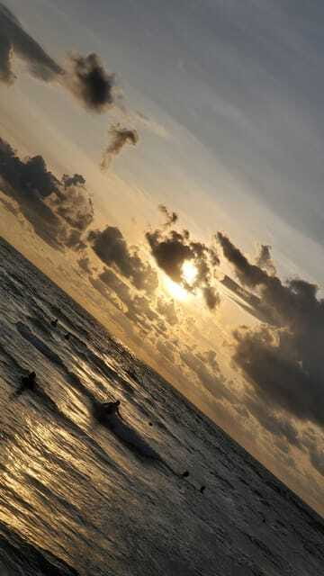 Down South Tour - FAQ