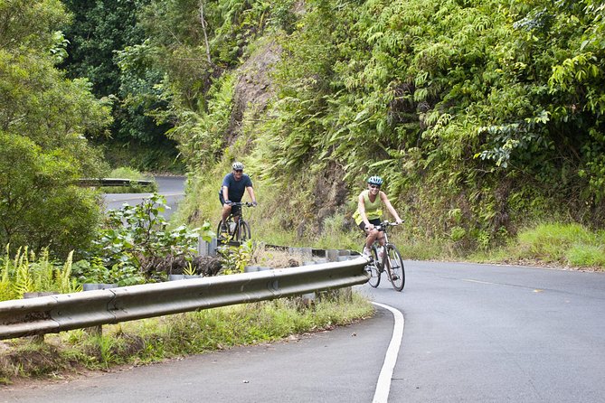 Downhill Bike and Ko'olau Waterfall Hike Tour - Introducing the Downhill Bike and Koolau Waterfall Hike Tour