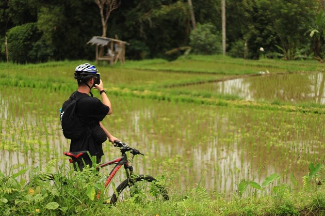 Downhill Cycling Ubud with Volcano,Rice Terraces,Jungle and Meals - The Sum Up
