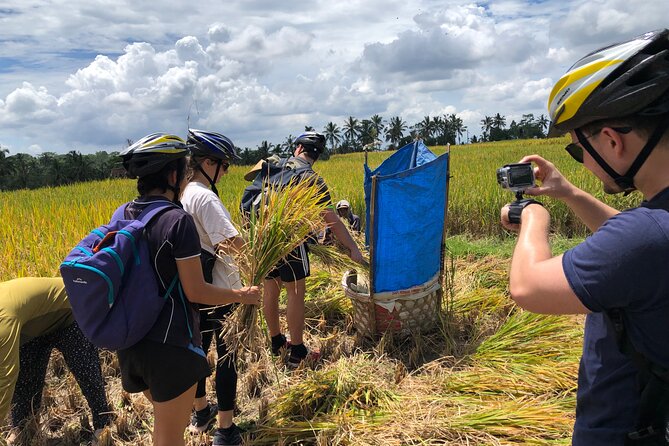Downhill Cycling Ubud with Volcano,Rice Terraces,Jungle and Meals - FAQ