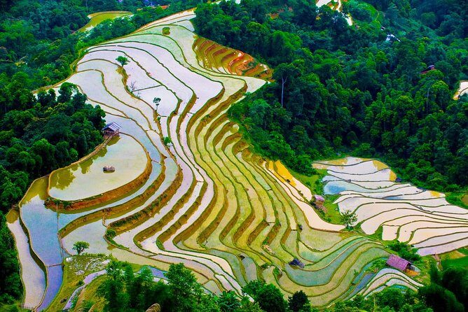 Downhill into Sapa valley by bike full day tour - Transportation and Logistics