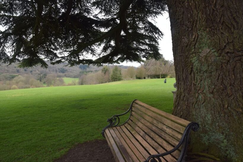 Downton Abbey and Village Small Group Tour from London - Final Thoughts: Who Will Love This?