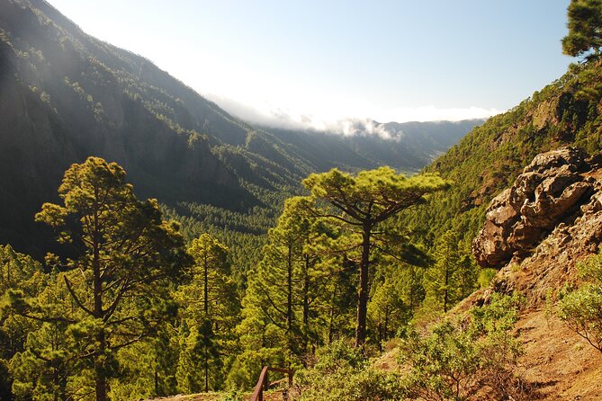 Downtown Route (Price per Vehicle not per person) - Frequently Asked Questions